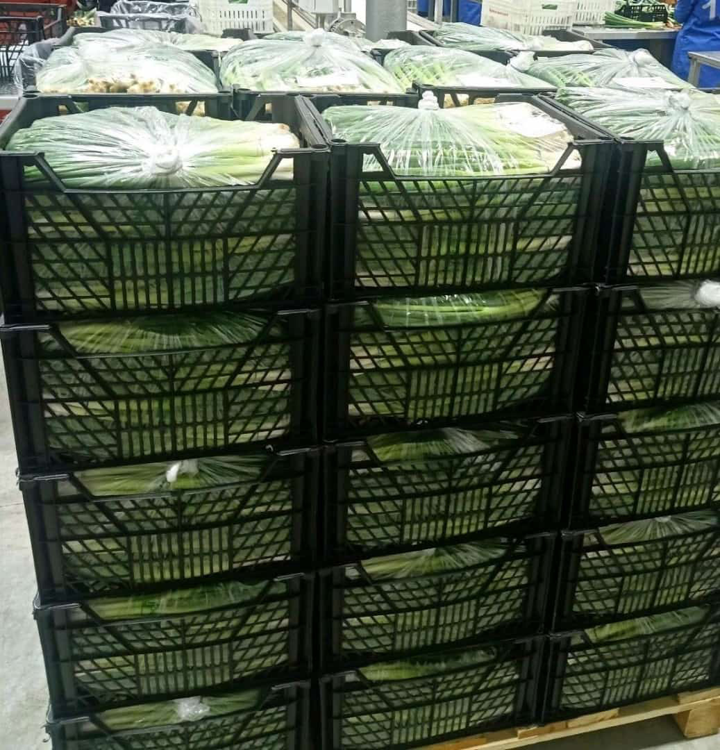 Produce Partners – Proud to be different in our approach to fresh produce